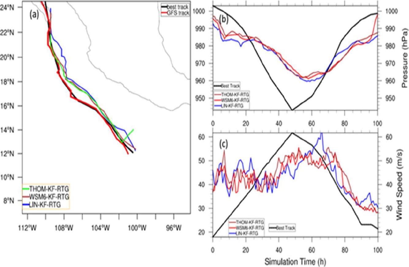 Tropical Cyclone Simulations with WRF Using High Performance Computing