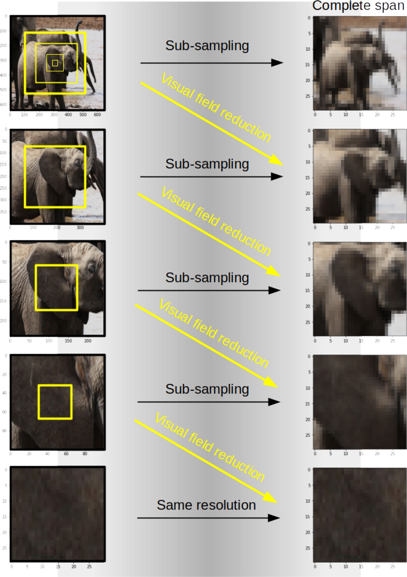 Towards an Active Foveated Approach to Computer Vision