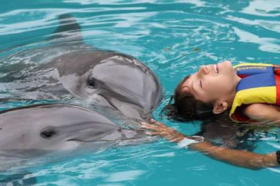 Power Spectral Analysis of Bioacoustic Signals Emitted by a Bottlenose ...