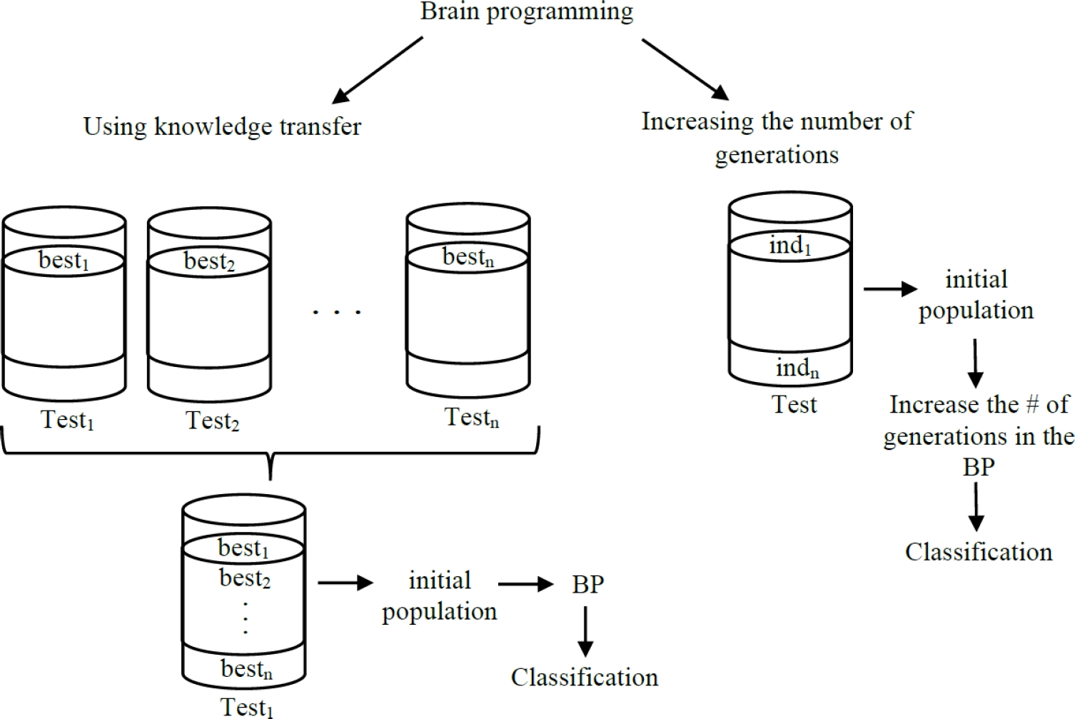 Automatic Recognition of Leukemia AML Using Evolutionary Vision