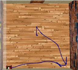 Development of a Mobile Virtual Reality Application based on Morris ...