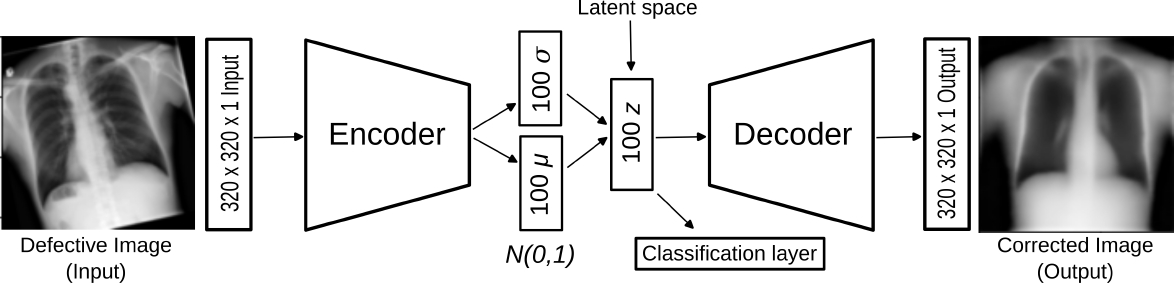 PumaMedNet-CXR: An Explainable Generative Artificial Intelligence for ...