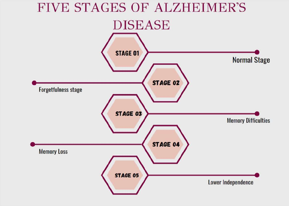 Deep Learning-Based Sentiment Analysis for the Prediction of Alzheimer ...