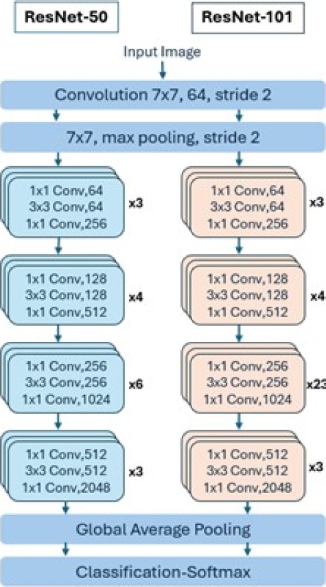 Framework to Support Radiologist Personnel in the Diagnosis of Diseases ...
