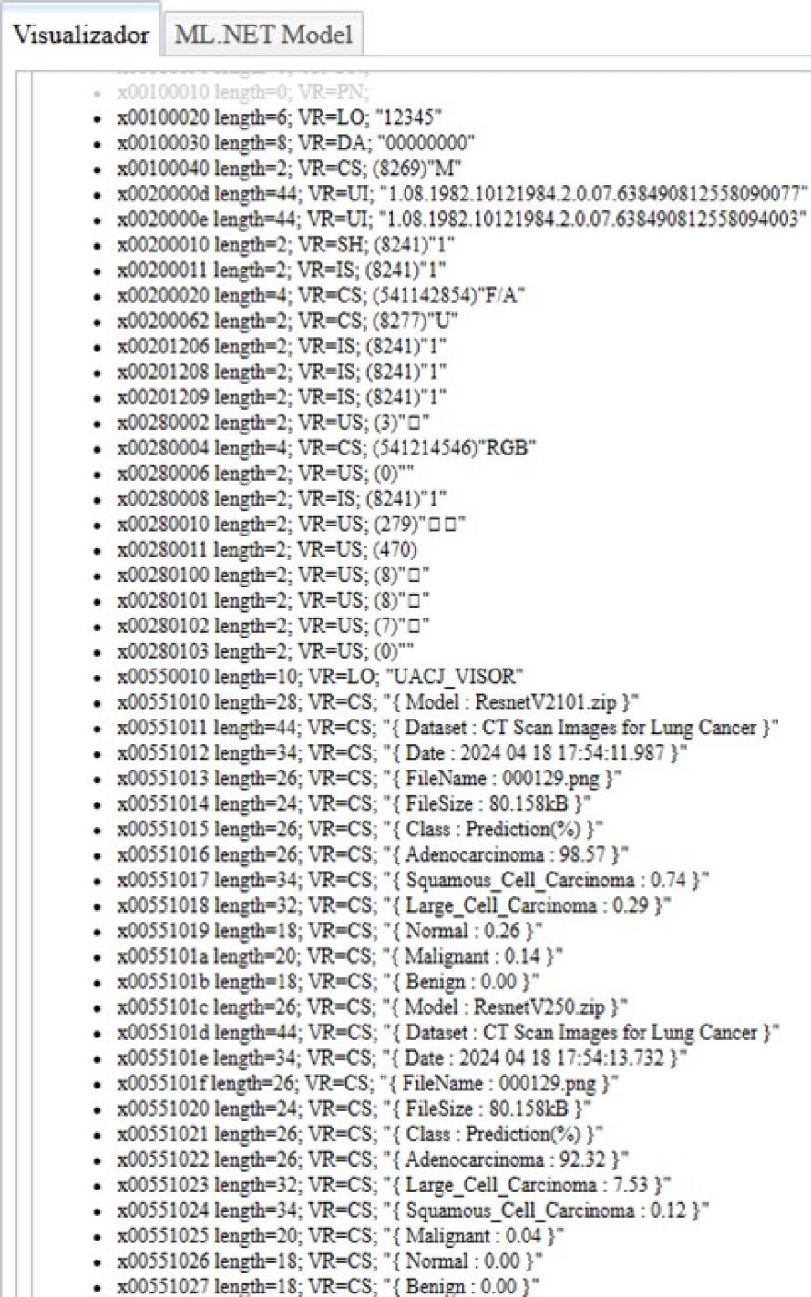 Framework to Support Radiologist Personnel in the Diagnosis of Diseases ...