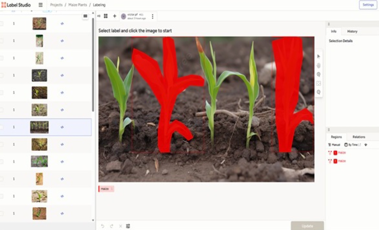 Development of an Autonomous Module for Weed Management in Agriculture