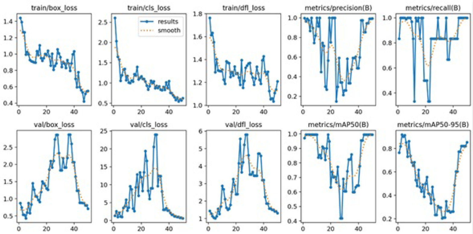 Development of an Autonomous Module for Weed Management in Agriculture
