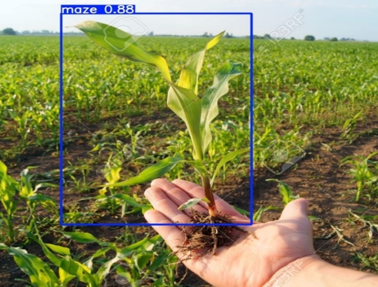 Development of an Autonomous Module for Weed Management in Agriculture