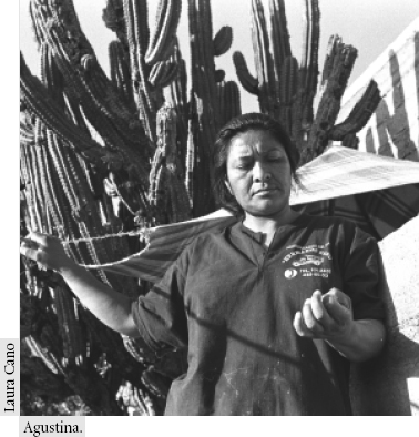 Historias de la maquila