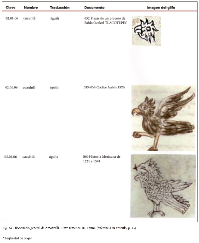 El estudio de los códices