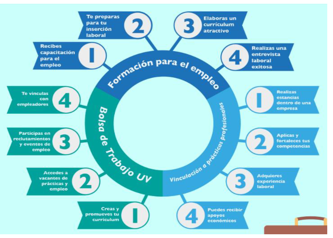 Desarrollo de un Plan para la Empleabilidad en el Programa Educativo de ...