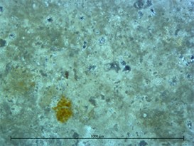 La explotación de recursos líticos en el entorno geológico del sitio ...