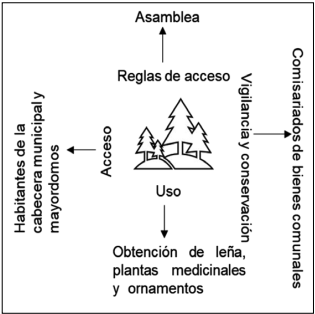 Fisuras del kuxlejal en Zinacantán: el manejo degradado de los bosques ...