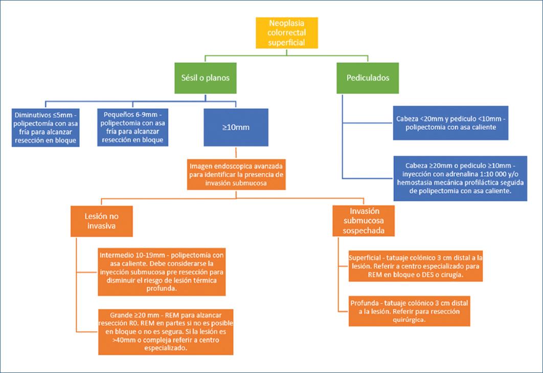 Resección de pólipos colónicos menores a 10 milímetros: experiencia en ...