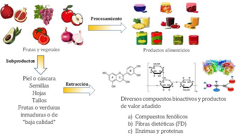 Aprendiendo a revalorizar los subproductos y su aplicación en productos ...