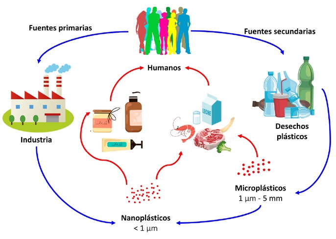 Micro(nano)plásticos en el medio ambiente: una descripción de los ...