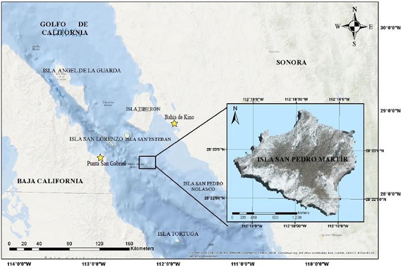 Primeras Investigaciones Geológicas de la Isla más Aislada en el Golfo ...