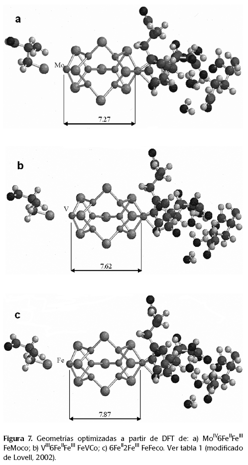Cofactor FeMco (M = Mo, V, Fe) en la nitrogenasa