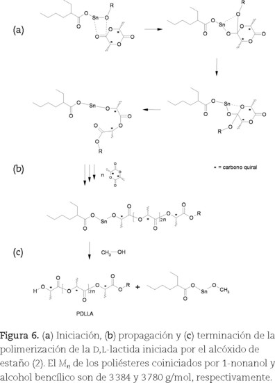 Cómo obtener un polímero degradable en el laboratorio: síntesis de la ...