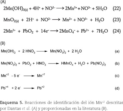 Servicios Personalizados