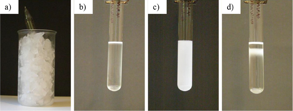 The Economic demonstrator: prepare it once, use it many times. V ...