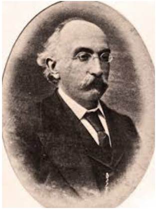 Luigi chiozza. The chemistry of organic acids