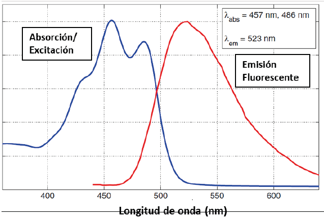 Experimentos en el aula para la demostración de los fenómenos de ...