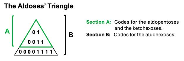 The aldoses’ triangle