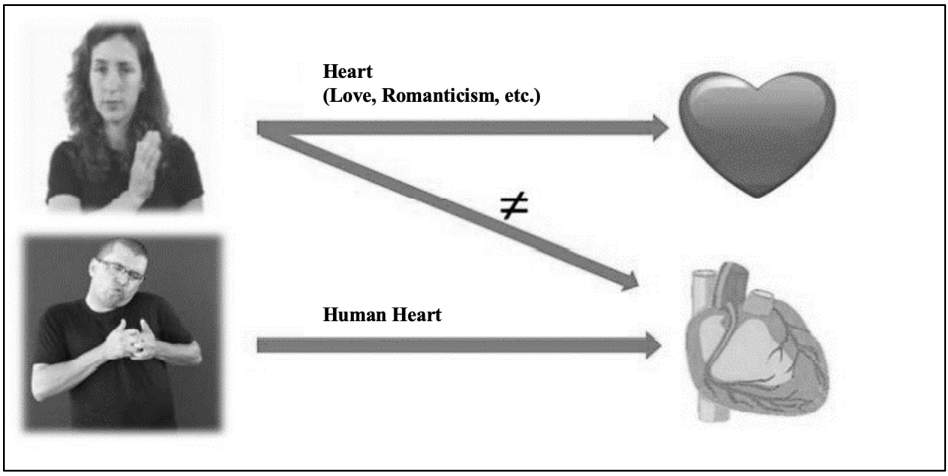 Chemistry by hands: creation of signs in libras (brazilian sign ...