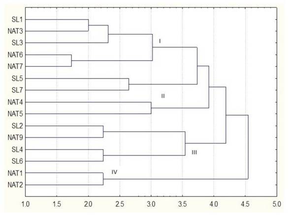Caracterización morfológica y molecular de nanche (Byrsonima ...