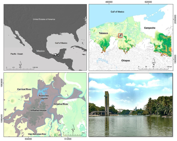 Management of an urban lagoon. Study case: Ilusiones Lagoon, Tabasco ...