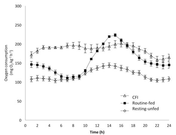 Implications of continuous feeding on oxygen demand in an agastric ...