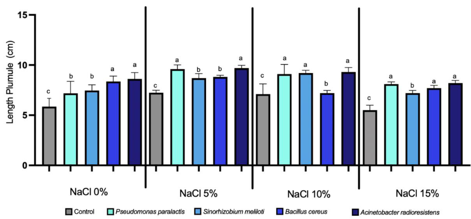 Plant growth promoting rhizobacteria enhances germination and bioactive ...