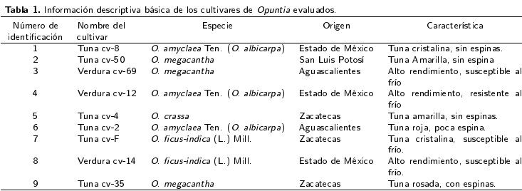 Caracterización isoenzimática de cultivares de nopal (Opuntia spp.)
