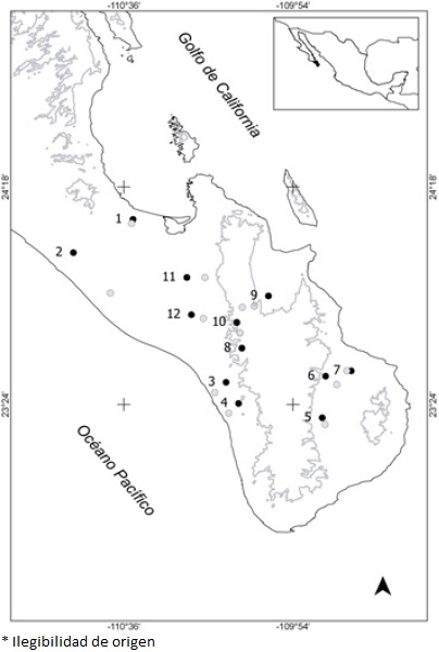 Variabilidad temporal de la producción de praderas de zacate buffel ...