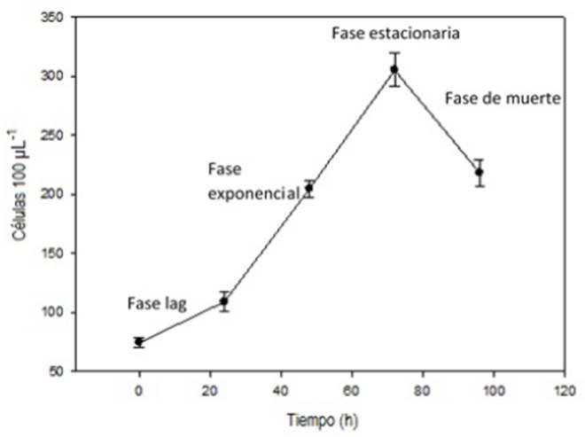 Diagrama De Partes Del Paramecio