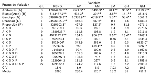 Semilla fértil y androestéril de maíz bajo diferentes densidades de ...