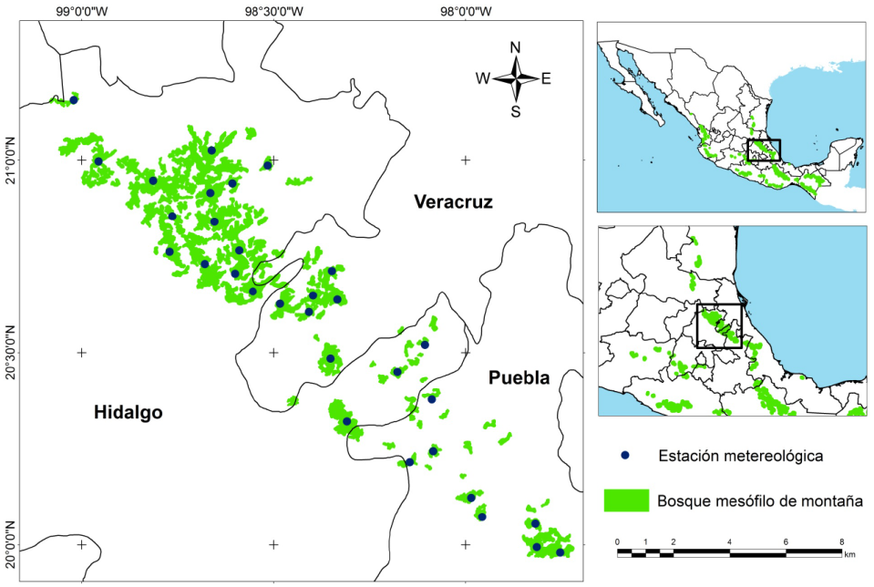 Balance hídrico climático de bosque mesófilo de montaña en la huasteca