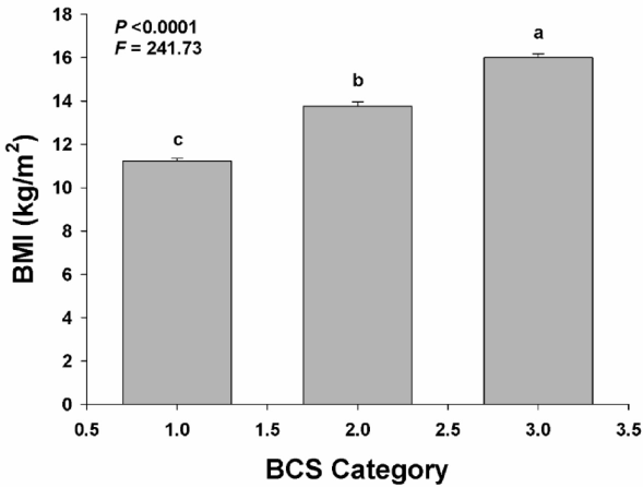 Relationship between body mass index and body condition score in ...