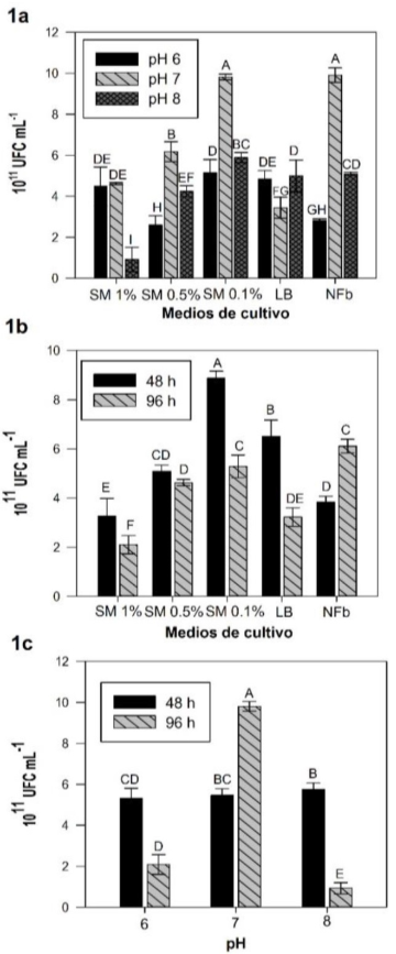 Cinética de crecimiento in vitro de Brevibacillus brevis en diferentes ...