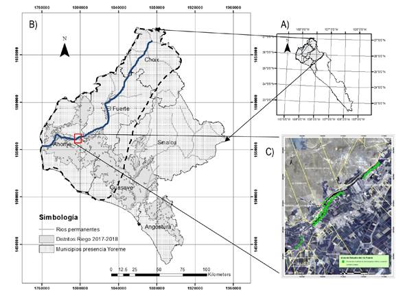 Diversidad y estructura del bosque de galería del río Fuerte, Sinaloa ...
