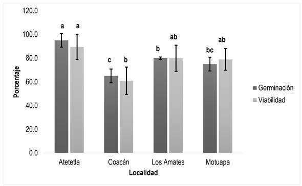 Análisis morfométrico de semilla y desarrollo de plántulas de maguey ...