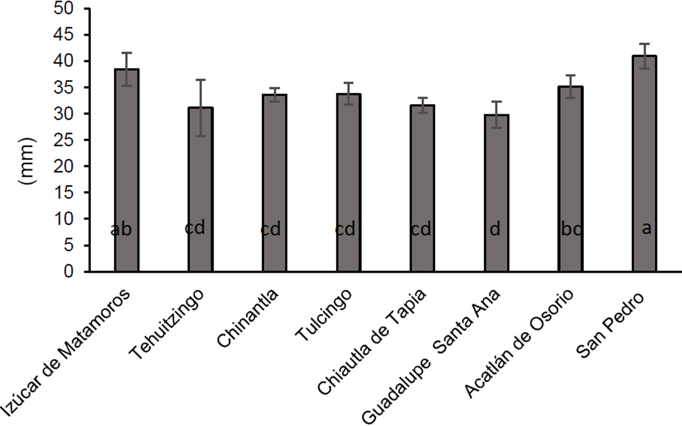 Caracterización de frutos de cuatomate (Solanum glaucescens Zucc.) en ...