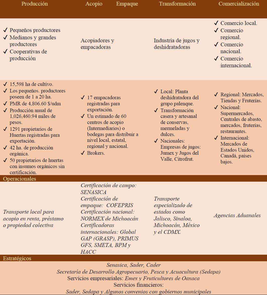 La cadena productiva del mango. Factor clave para el desarrollo local ...
