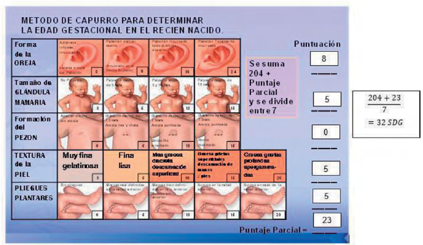 Cuidado especializado a neonato prematuro fundamentado en la teoría ...
