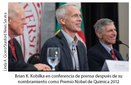 Robert Lefkowitz y Brian Kobilka: premios Nobel 2012