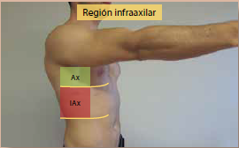 La exploración del tórax: una guía para descifrar sus mensajes