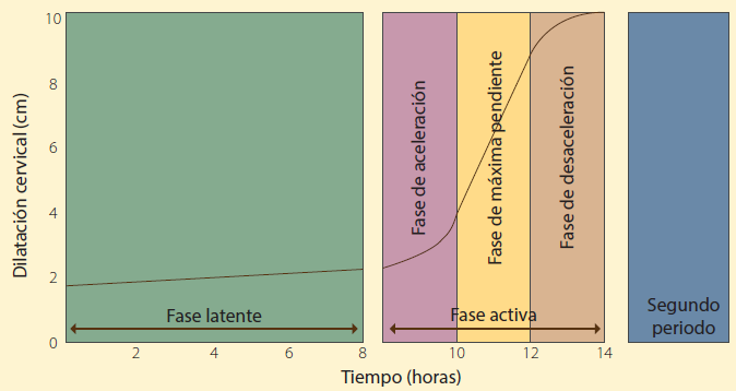 Muerte fetal por negligencia médica