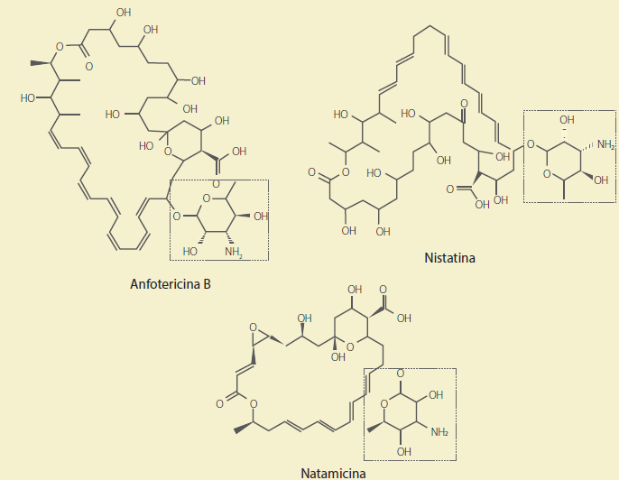 Antifúngicos poliénicos. Mecanismo de acción y aplicaciones
