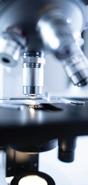 Autofagia en las células beta pancreáticas y su papel en la diabetes ...